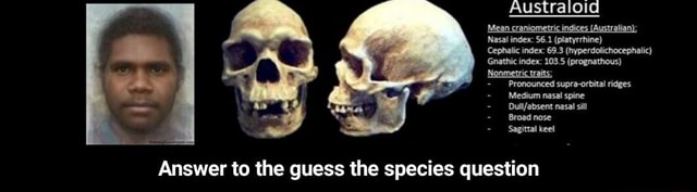 Australoid Mean craniometric indices (Australian): Nasal index: 56.1 ...