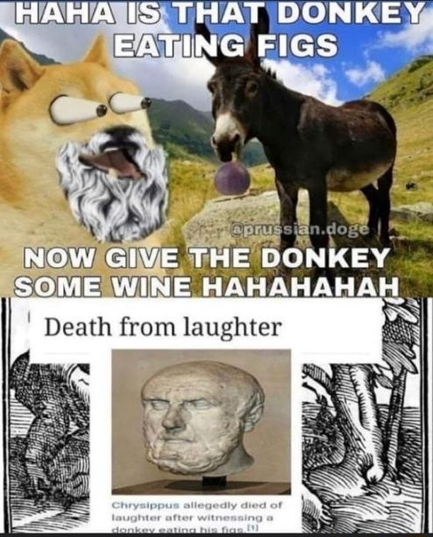 HAHA IS THAT DONKEY ~ EATING FIGS NOW GIVE THE DONKEY SOME WINE ...