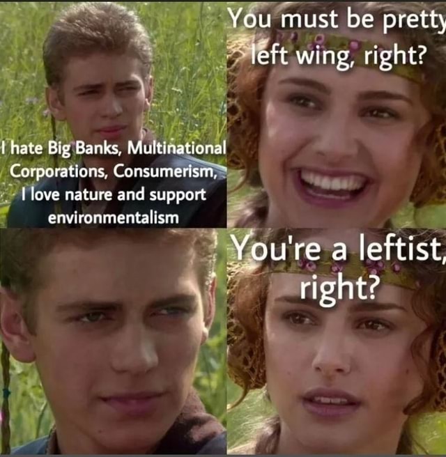 You must be pretty left wing, right? I hate Big Banks, Multinational ...