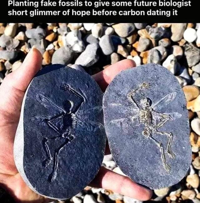 Planting fake fossils to give some future biologist short glimmer of ...