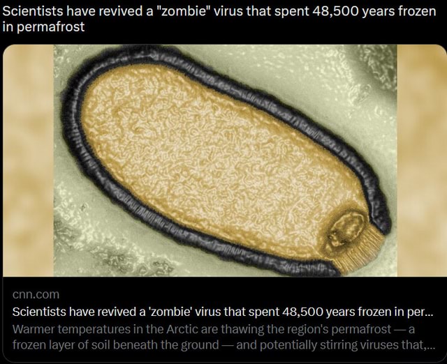 Scientists have revived a "zombie" virus that spent 48,500 years frozen ...