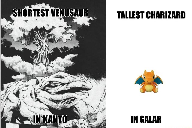 TALLEST CHARIZARD IN GALAR - iFunny
