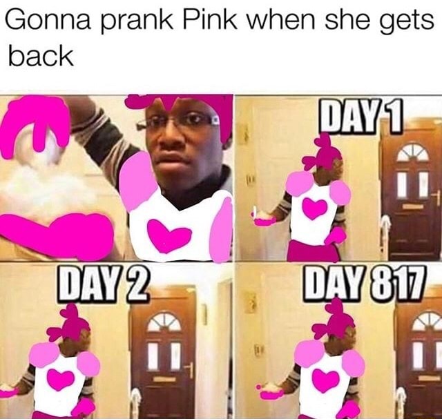 Gonna prank Pink when she gets back - iFunny