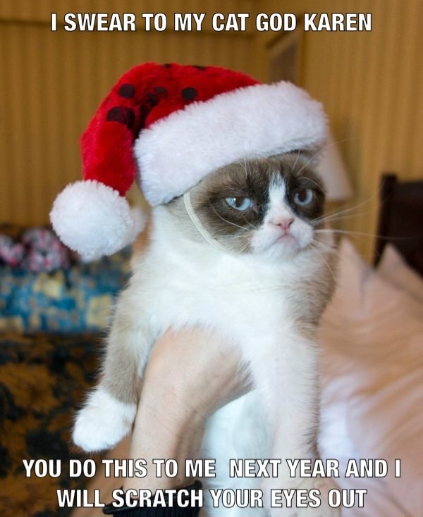 I SWEAR TO MY CAT GOD KAREN - iFunny