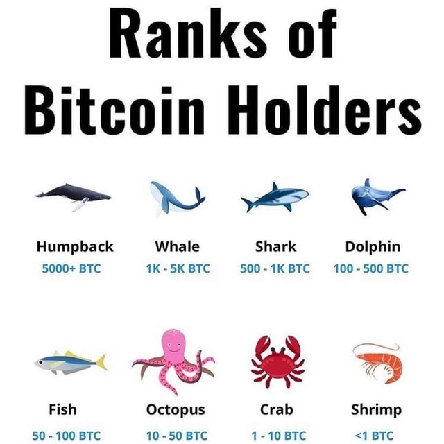 Ranks of Bitcoin Holders er Humpback Whale Shark Dolphin 5000+ BTC 1K ...