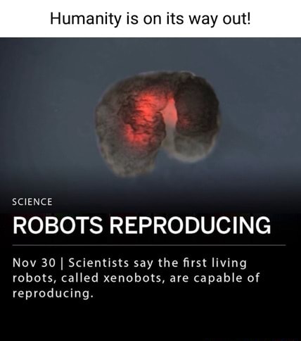 Humanity is on its way out! ROBOTS REPRODUCING Nov 30 I Scientists say ...