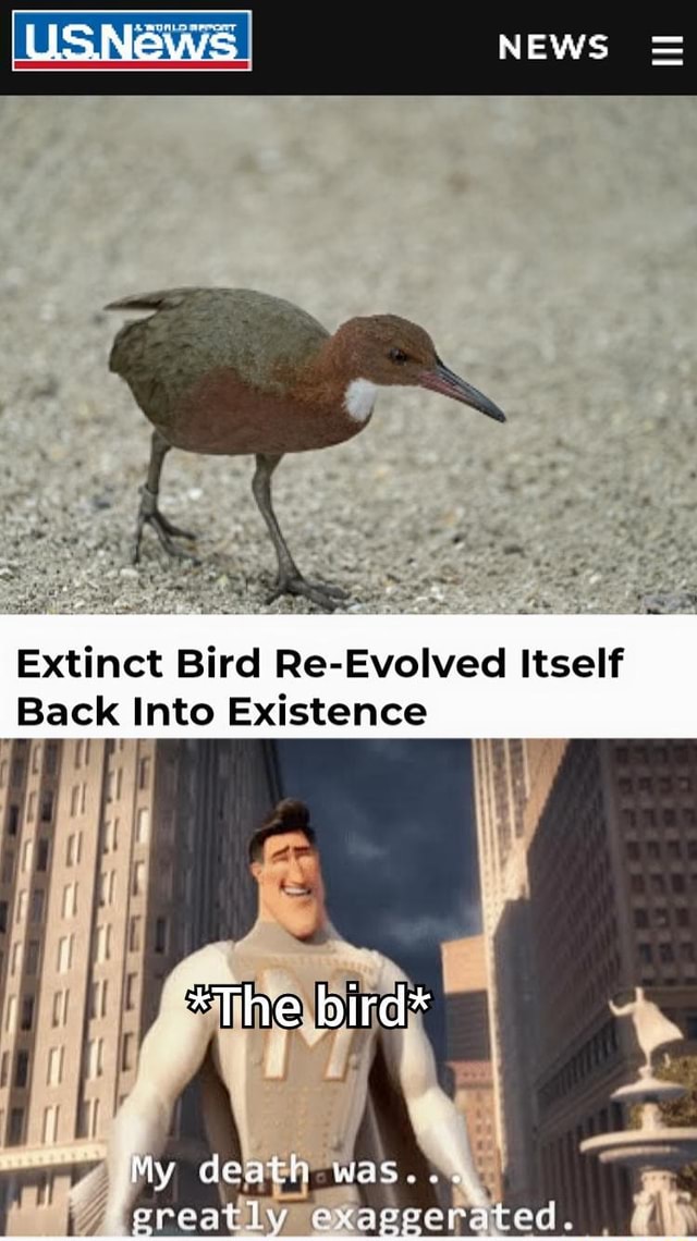 NEWS = Extinct Bird Re-Evolved Itself Back Into Existence *The bird* My ...
