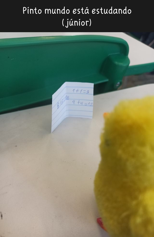 Pinto mundo está estudando (júnior) - iFunny