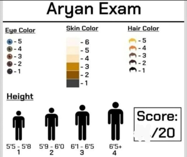 Aryan Exam Eye Color Skin Color Hair Color @-5 -6 @-4 -5 @-2 -1 Height ...