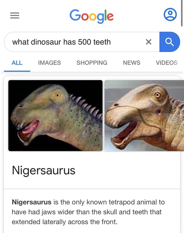 What dinosaur has 500 teeth x Nigersaurus Nigersaurus is the only known ...