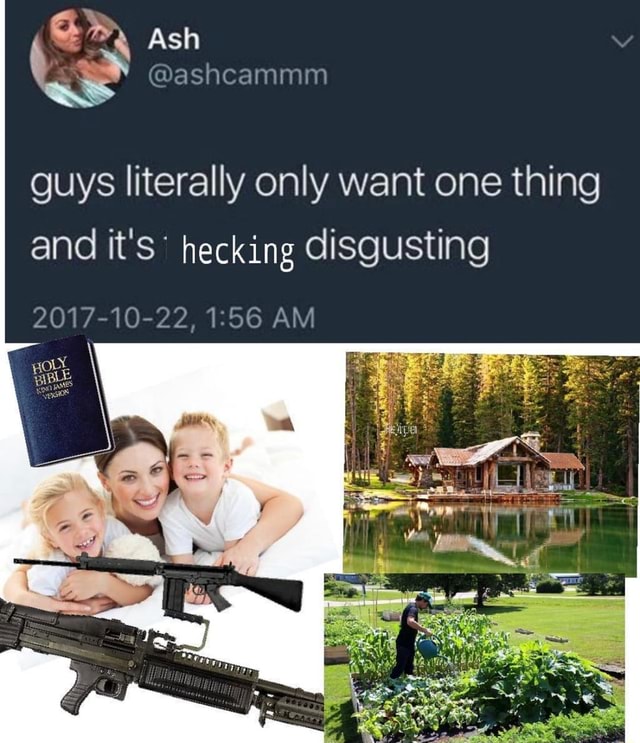 Guys literally only want one thing and it's' hecking disgusting - iFunny
