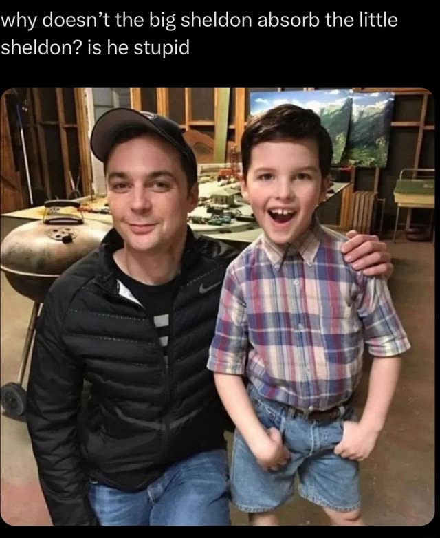 Why doesn't the big sheldon absorb the little sheldon? is he stupid I ...