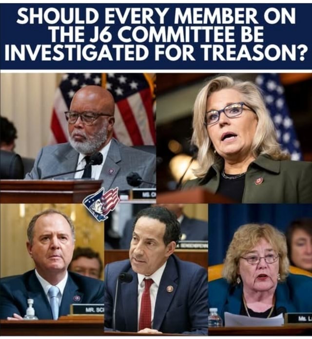 SHOULD EVERY MEMBER ON THE COMMITTEE BE INVESTIGATED FOR TREASON? - iFunny