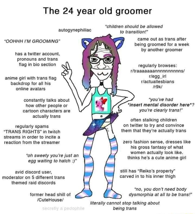 The 24 year old groomer "children should be allowed to transition ...