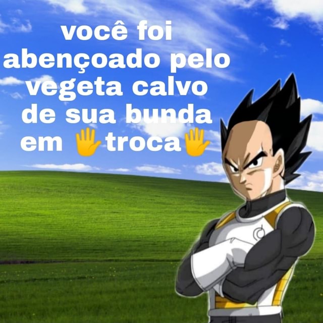 Você foi abençoado pelo vegeta calvo de sua bunda em troca RR - iFunny