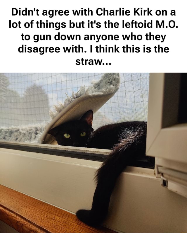 Didn't agree with Charlie Kirk on lot of things but it's the leftoid M ...