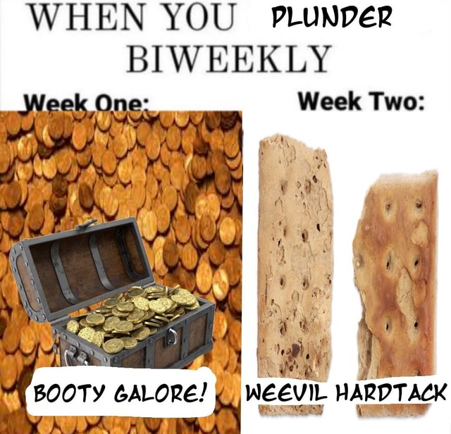 WHEN YOU PLUNDER BIWEEKLY RY BOOTY GALORE! WEEVIL HARDTACK - iFunny