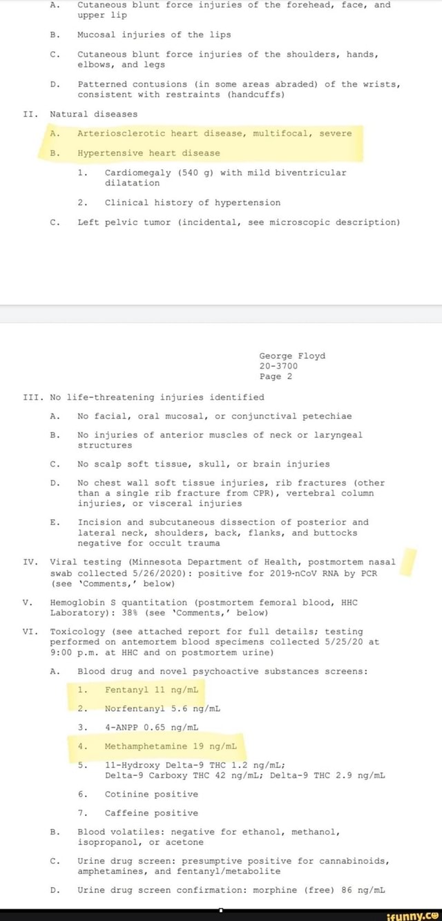 A. Cutaneous blunt force injuries of the forehead, face, and upper lip ...