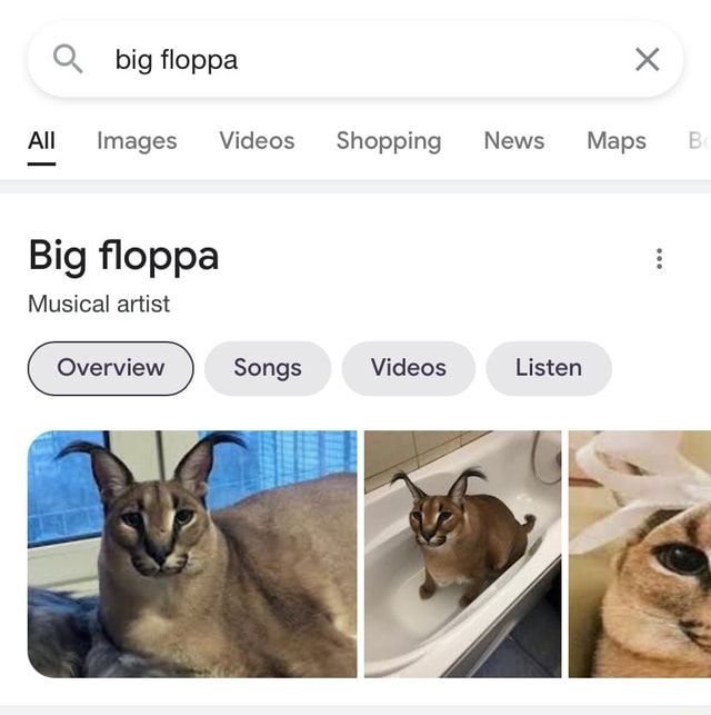 Big floppa All Images Videos Shopping News Maps B: Big floppa Musical ...