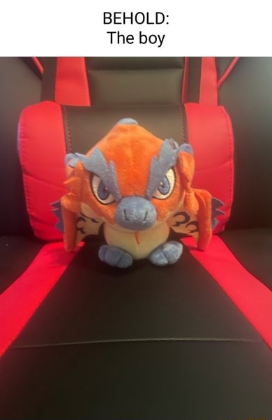 BEHOLD: The boy - iFunny