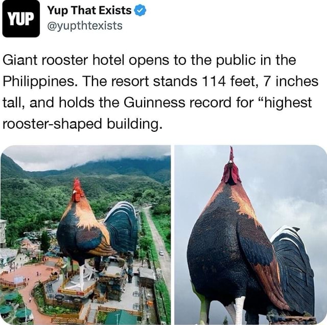 Giant rooster hotel opens to the public in the Philippines. The resort ...