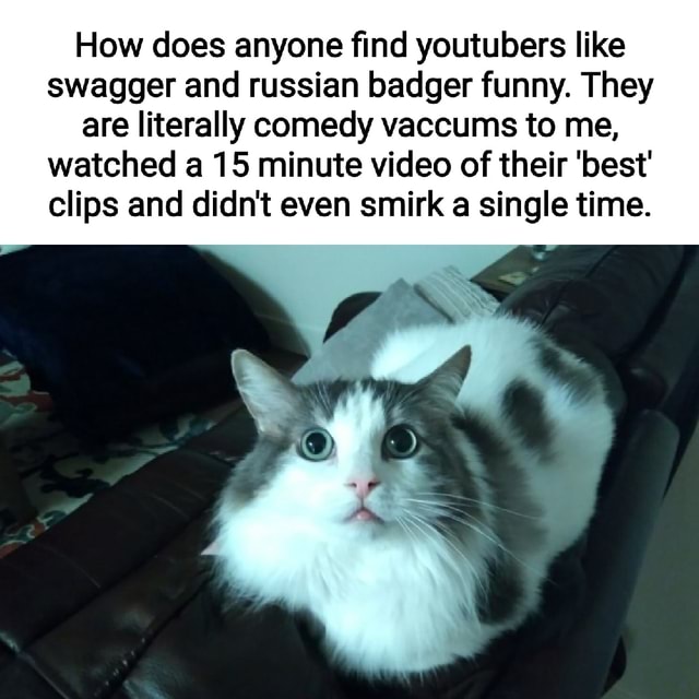 How does anyone find youtubers like swagger and russian badger funny ...