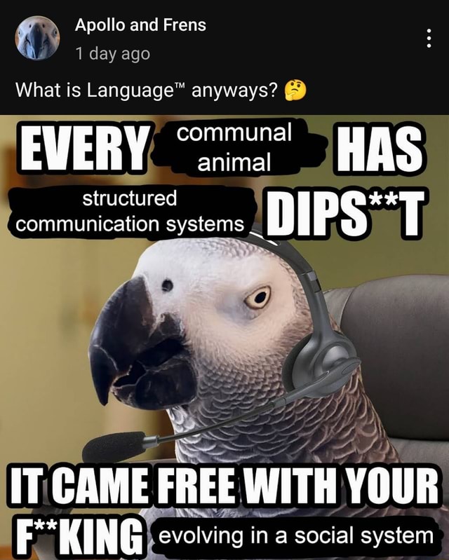 Apollo and Frens day ago What is anyways? @ EVERY HAS animal structured ...