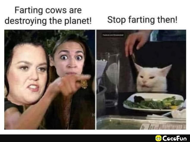 Farting cows are destroying the planet! Stop farting then! CeceFun ...