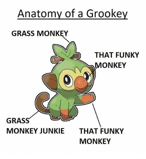 Anatomy of a Grookey GRASS MONKEY THAT MONKEY JUNKIE THAT FUNKY MONKEY ...