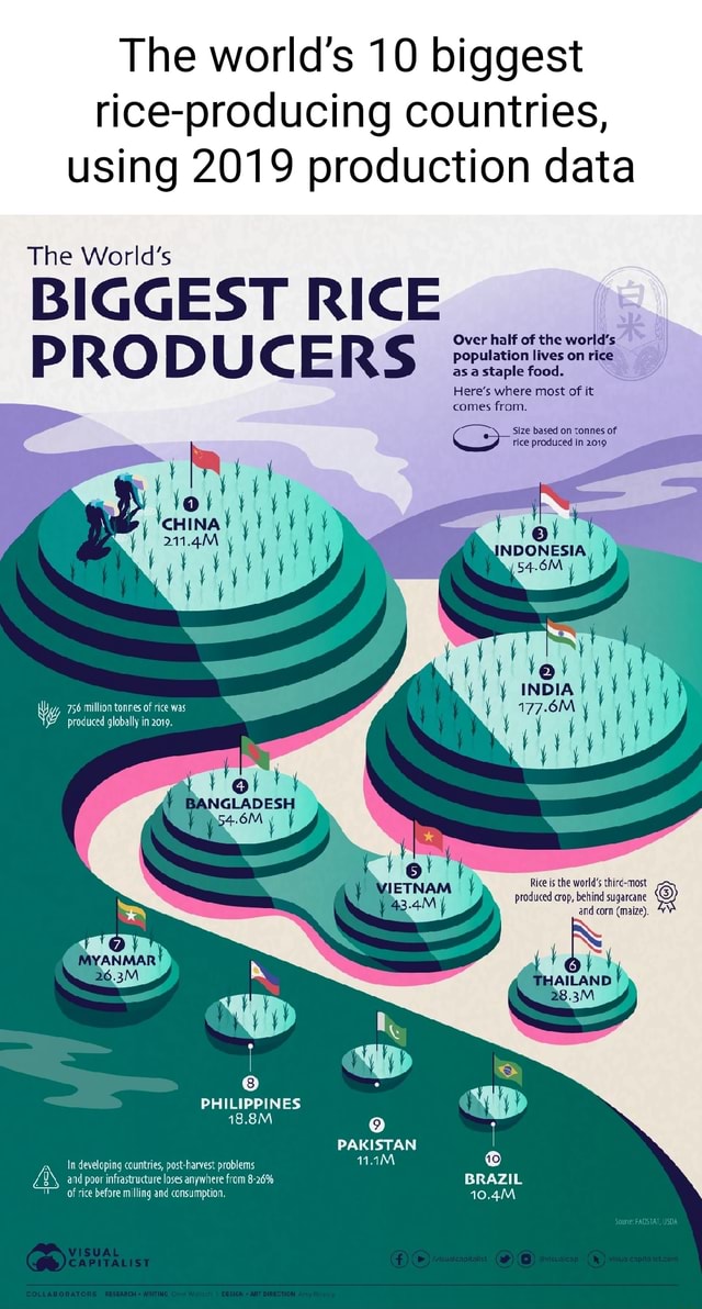 The world's 10 biggest rice-producing countries, using 2019 production ...