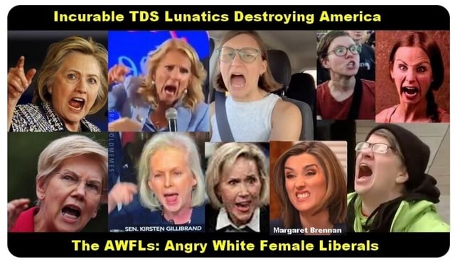 Incurable TDS Lunatics Destroying America SEN. KARSTEN GILLIBRAND ...