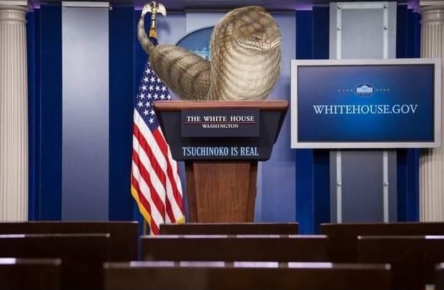 THE WHITE TSUCHINOKO HOUSE IS REAL THE WHITE HOUSE TSUCHINOKO IS REAL ...