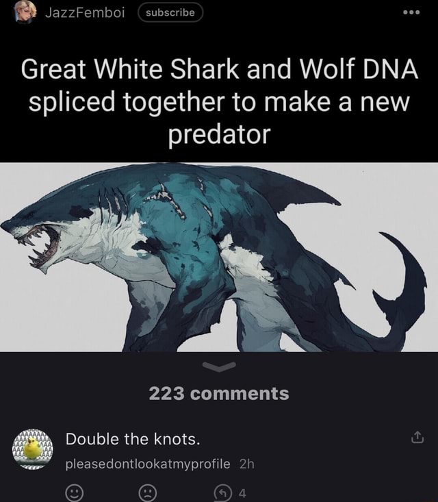 JazzFemboi ( subscribe Great White Shark and Wolf DNA spliced together ...