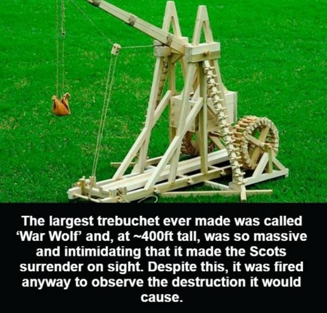 In The largest trebuchet ever made was called 'War Wolf and, at ~400ft ...