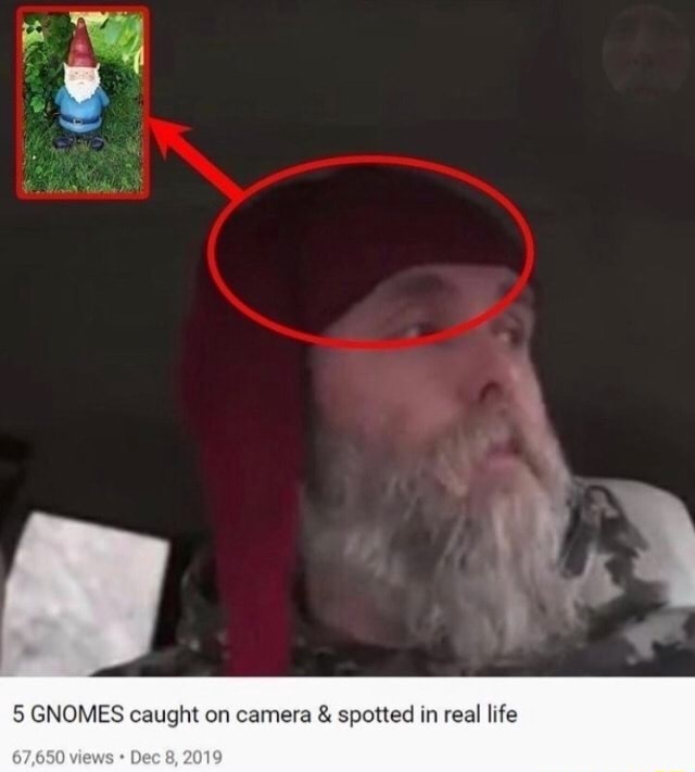 5 GNOMES caught on camera & spotted in real life - iFunny