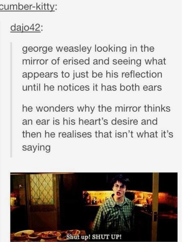 Daio42: george weasley looking in the mirror of erised and seeing what ...