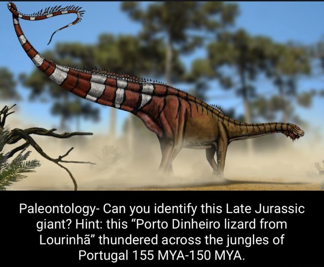 Paleontology- Can you identify this Late Jurassic giant? Hint: this ...