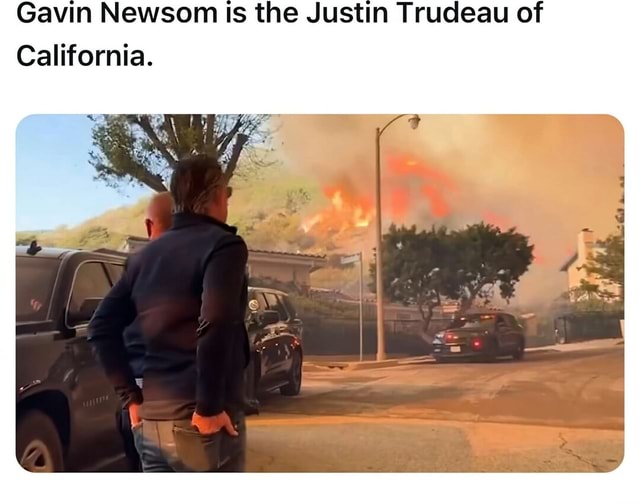 Gavin Newsom Is the Justin Trudeau of California. TS - America’s best ...