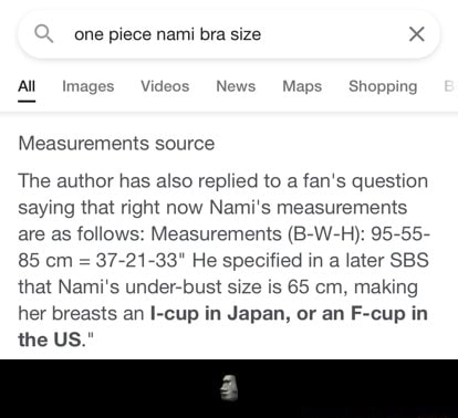 One piece nami bra size x All images Videos News Maps Shopping ...