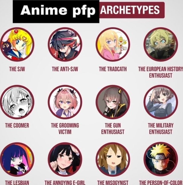 Anime pfp ARCHETYPES THE SJW THE ANTI-SIW THE TRADCATH THE EUROPEAN ...