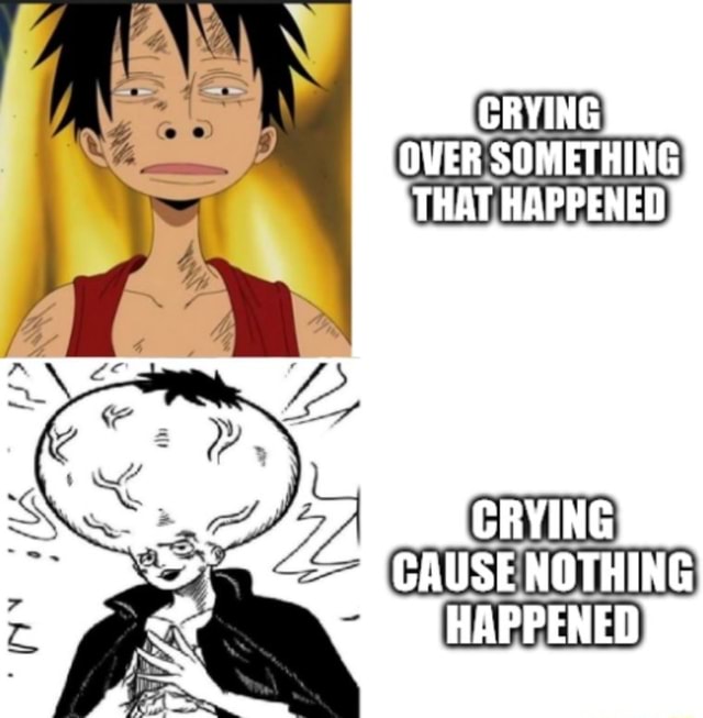 CRYING OVER SOMETHING THAT HAPPENED CRYING CAUSE NOTHING HAPPENED - iFunny