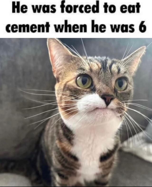 He was forced to eat cement when he was 6 - iFunny