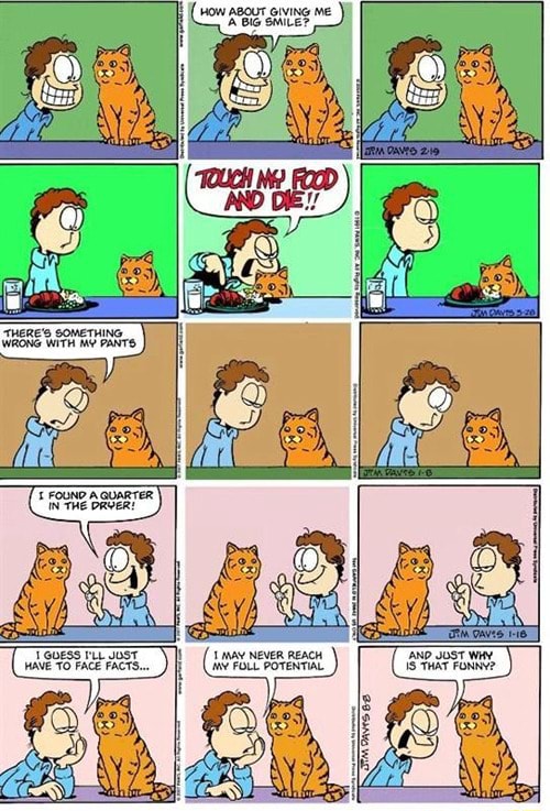 Garfield with a realistic Garfield and no dialogue - iFunny