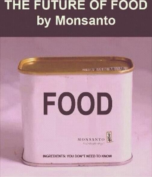FUTURE OF FOOD by Monsanto FOOD INGREDIENTS: NEED TO I - America’s best ...
