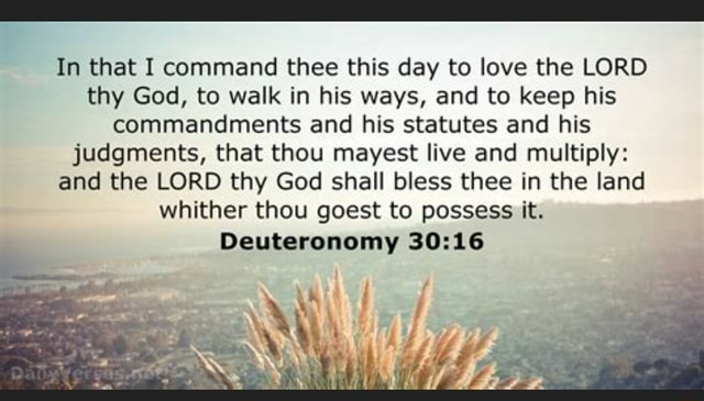 In that I command thee this day to love the LORD thy God, to walk in ...