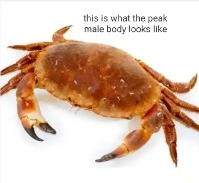 This is what the peak male body looks like - iFunny