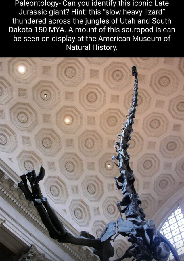 Paleontology- Can you identify this iconic Late Jurassic giant? Hint ...