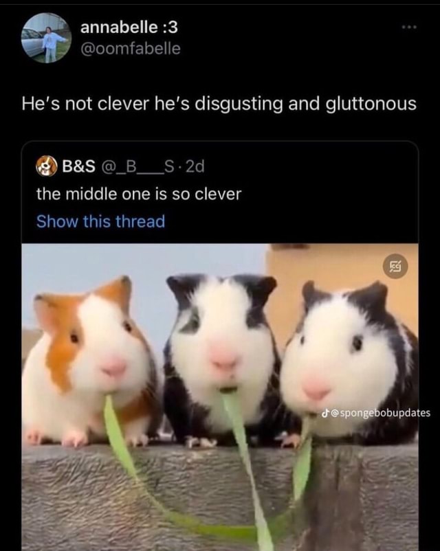 Annabelle :3 He's not clever he's disgusting and gluttonous Bas @_B__S ...