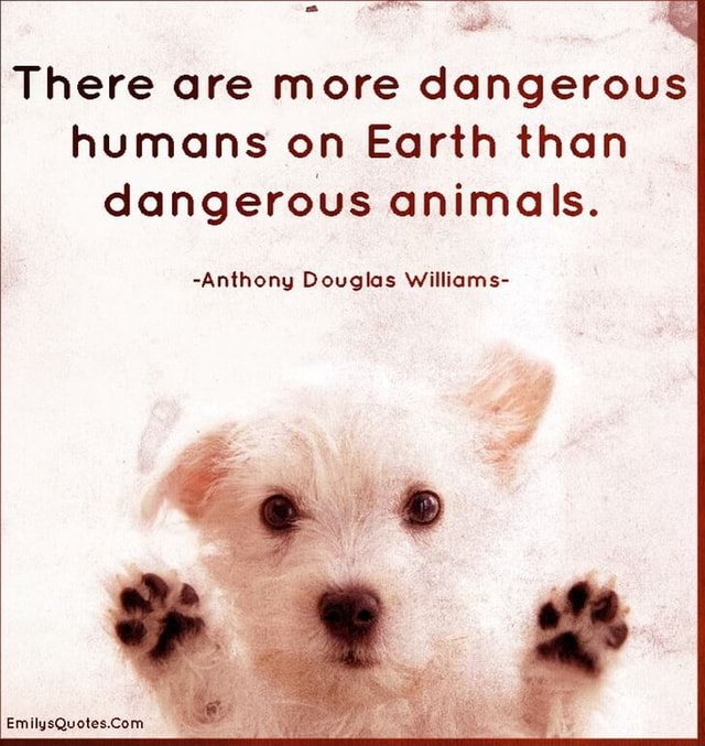 There are more dangerous humans on Earth than dangerous animals ...