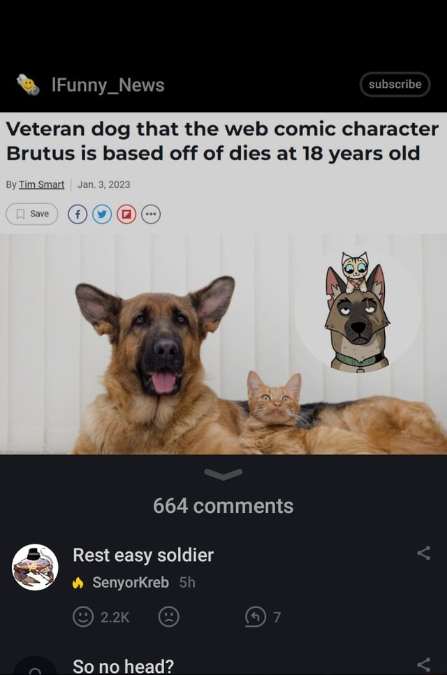 Veteran dog that the web comic character Brutus is based off of dies at ...